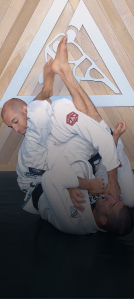 Gracie University