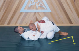Gracie University