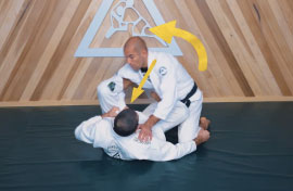 Gracie University