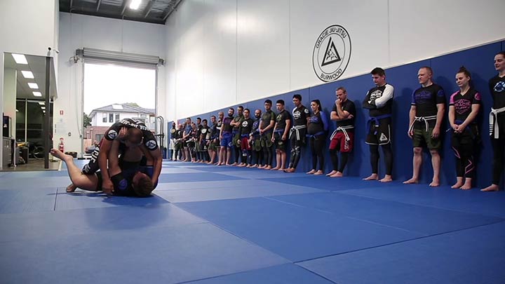 GRACIE UNIVERSITY: Global Brazilian Jiu-Jitsu (BJJ) Instruction – Straight From The Source.