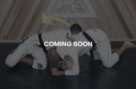 Gracie University